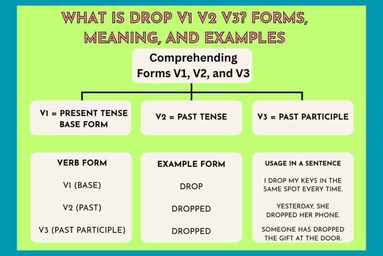 Master Drop V1 V2 V3 forms with easy grammar and Examples