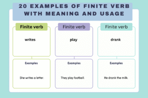20 Examples of Finite Verb – Easy Explanation with Sentences