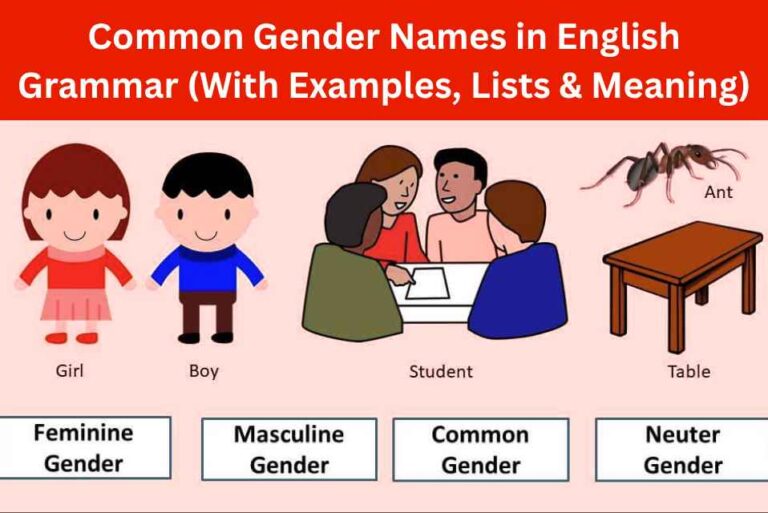 Common Gender Names in Grammar: List, Meaning & Examples