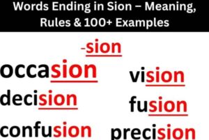 Words Ending in Sion – Meaning, Rules & 100+ Examples List